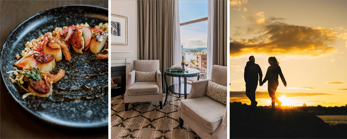 Magnolia Introduces the Infinite Coast Collection